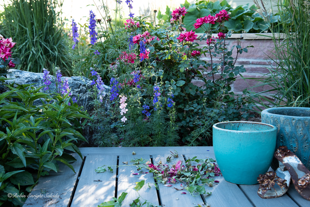 My Peaceful Garden | Our Stories Today